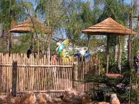 Rustic Bamboo Fencing from amaZulu, Inc.