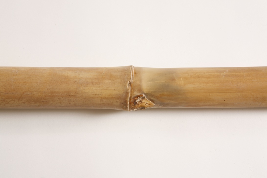 Commercial Bamboo Supplier - Professional Grade Materials ...