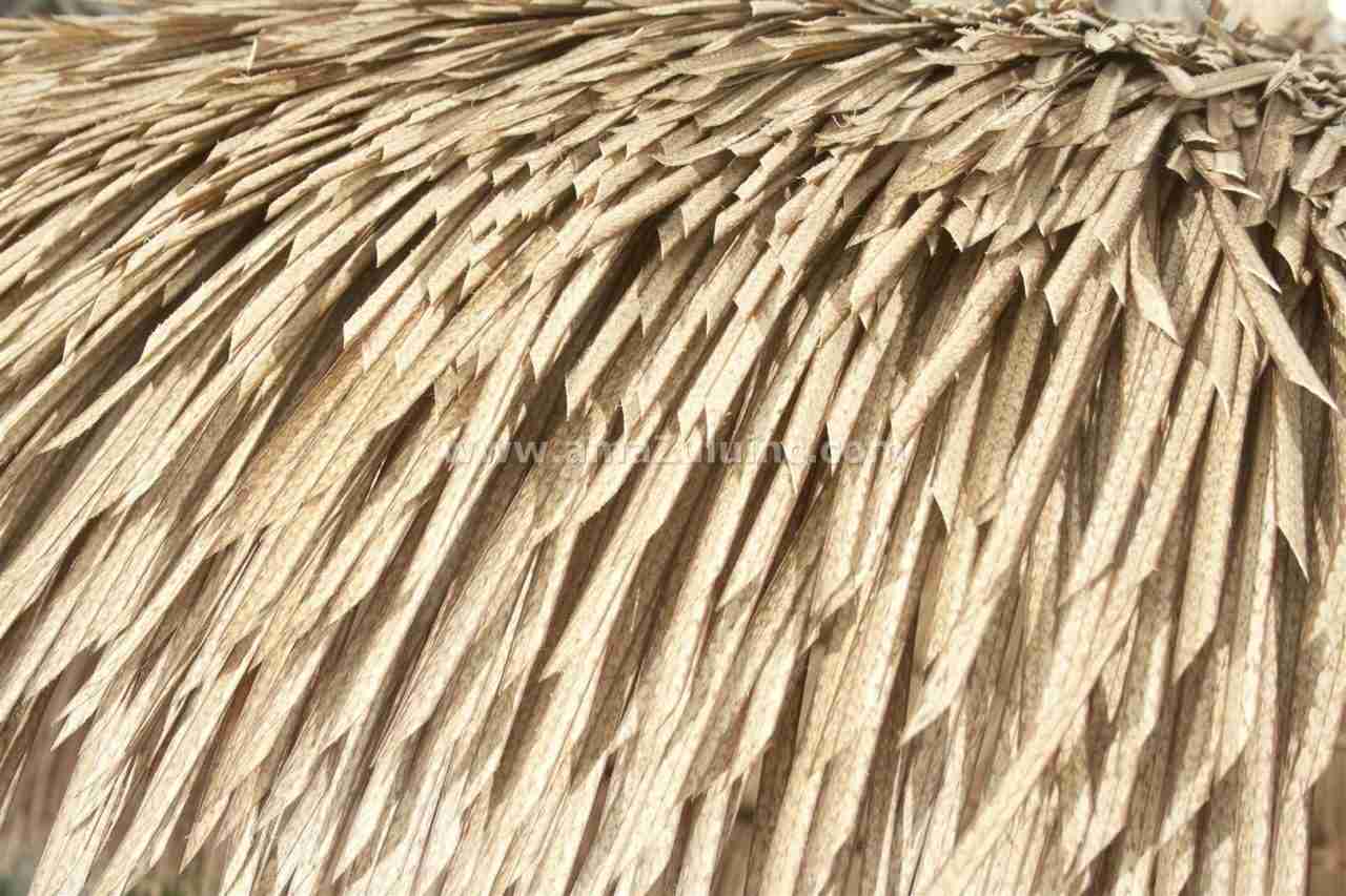 The Do's and Don'ts of Synthetic Thatch in Theme Parks & Resorts - amaZulu