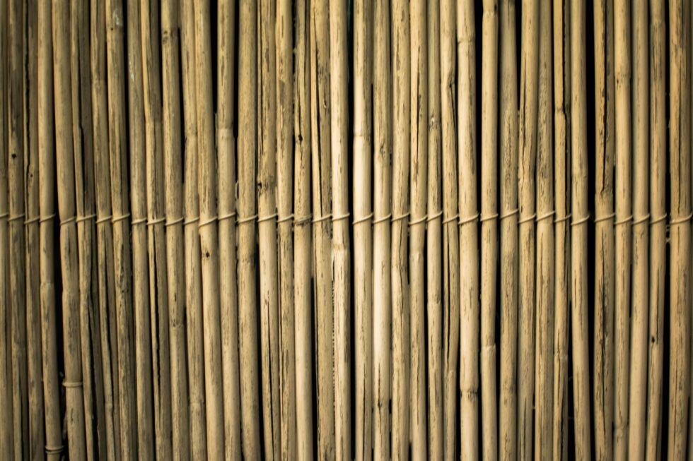 Reed Roll Screening: Fast Privacy Fencing & Theming