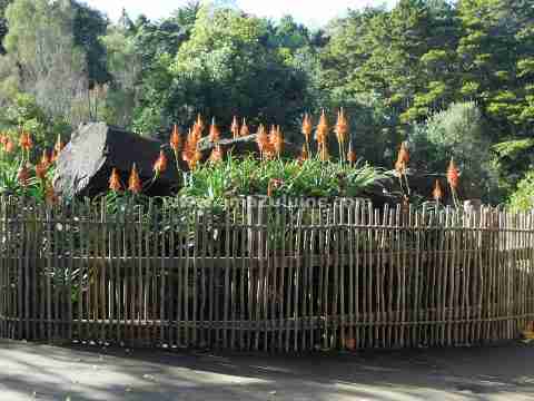 Rustic Eucalyptus Fencing | Eucalyptus Fence Panels